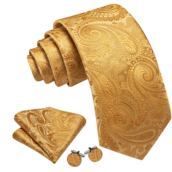 Barry Wang Golden Tie Paisley Ties for Men Silk Patterned Necktie Set ...