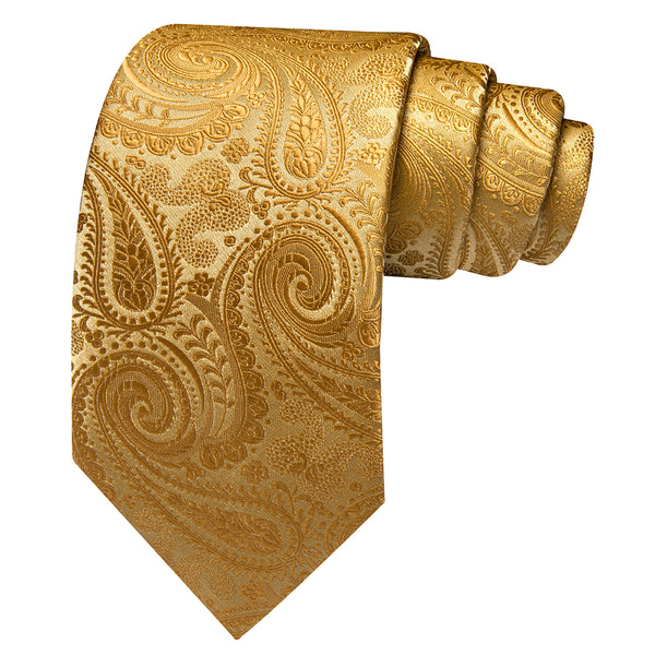 Barry Wang Golden Tie Paisley Ties for Men Silk Patterned Necktie Set ...